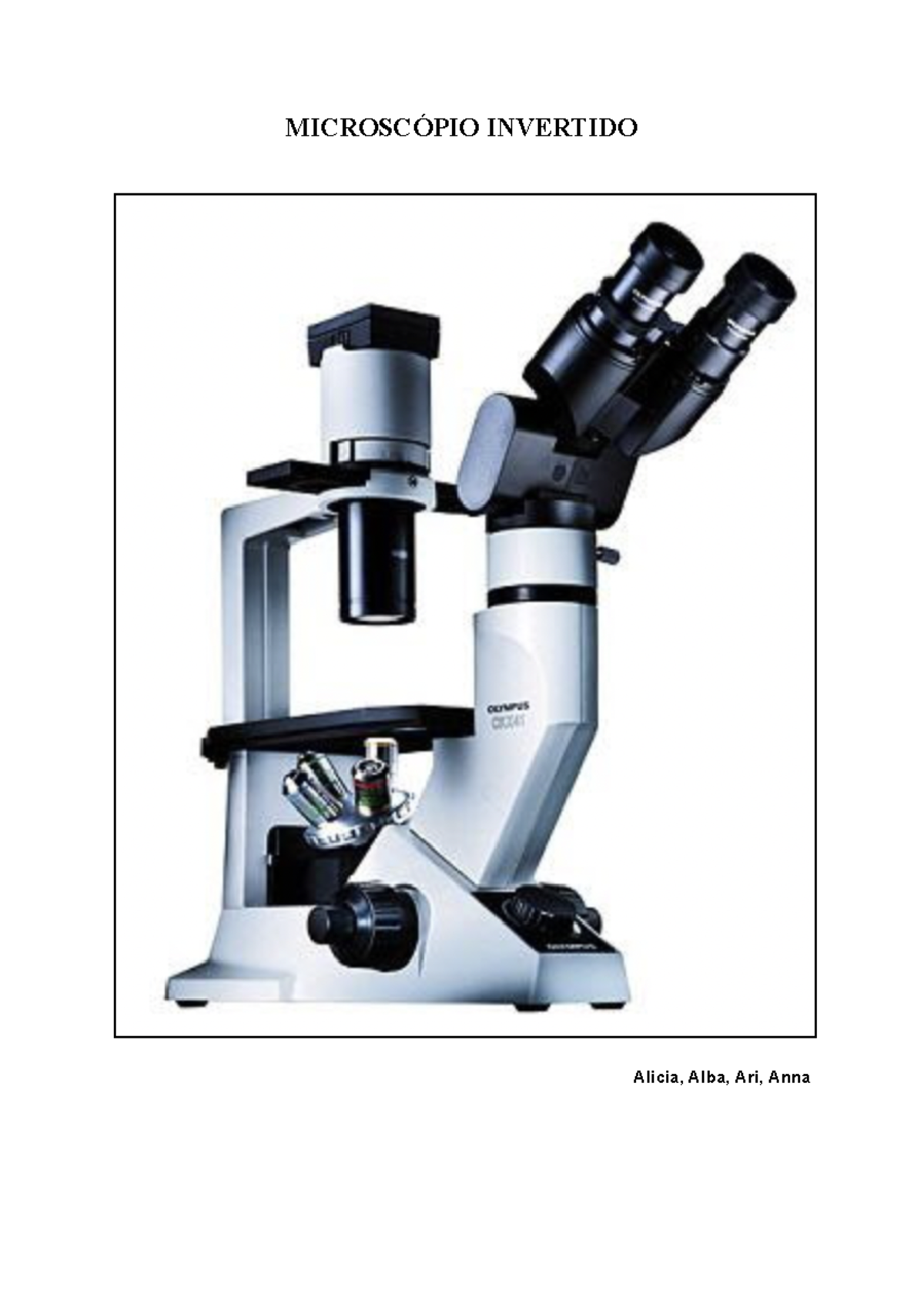 Microscópio Invertido - MICROSCÓPIO INVERTIDO Alicia, Alba, Ari, Anna ...