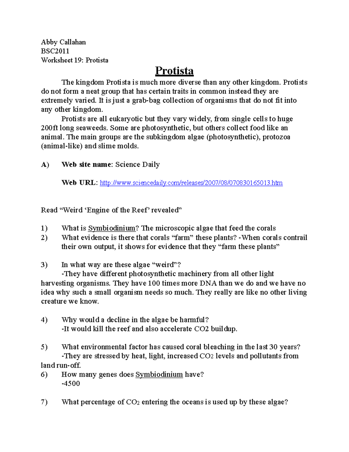 Bio Wksht 19-Protista - Worksheet 19 about Protista for homework very ...
