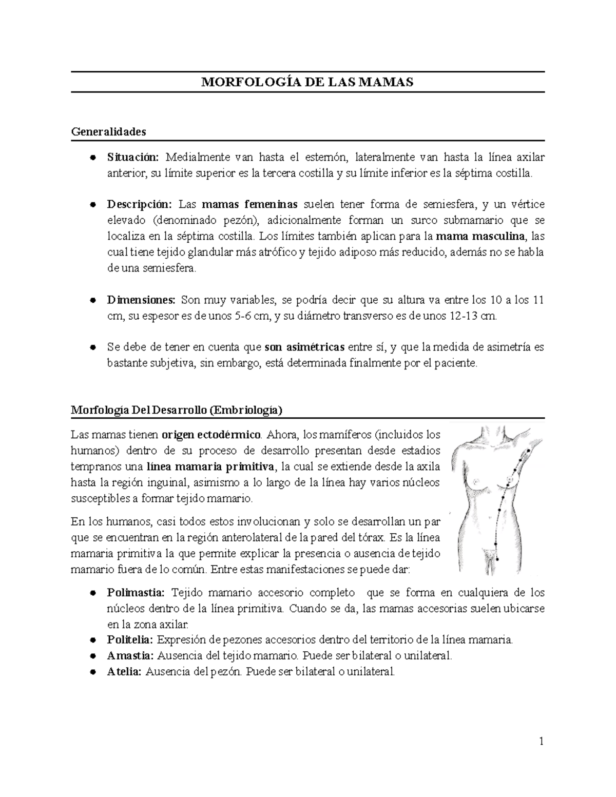 Morfología de la mama - Jose Dario Rojas - MORFOLOGÍA DE LAS MAMAS ...