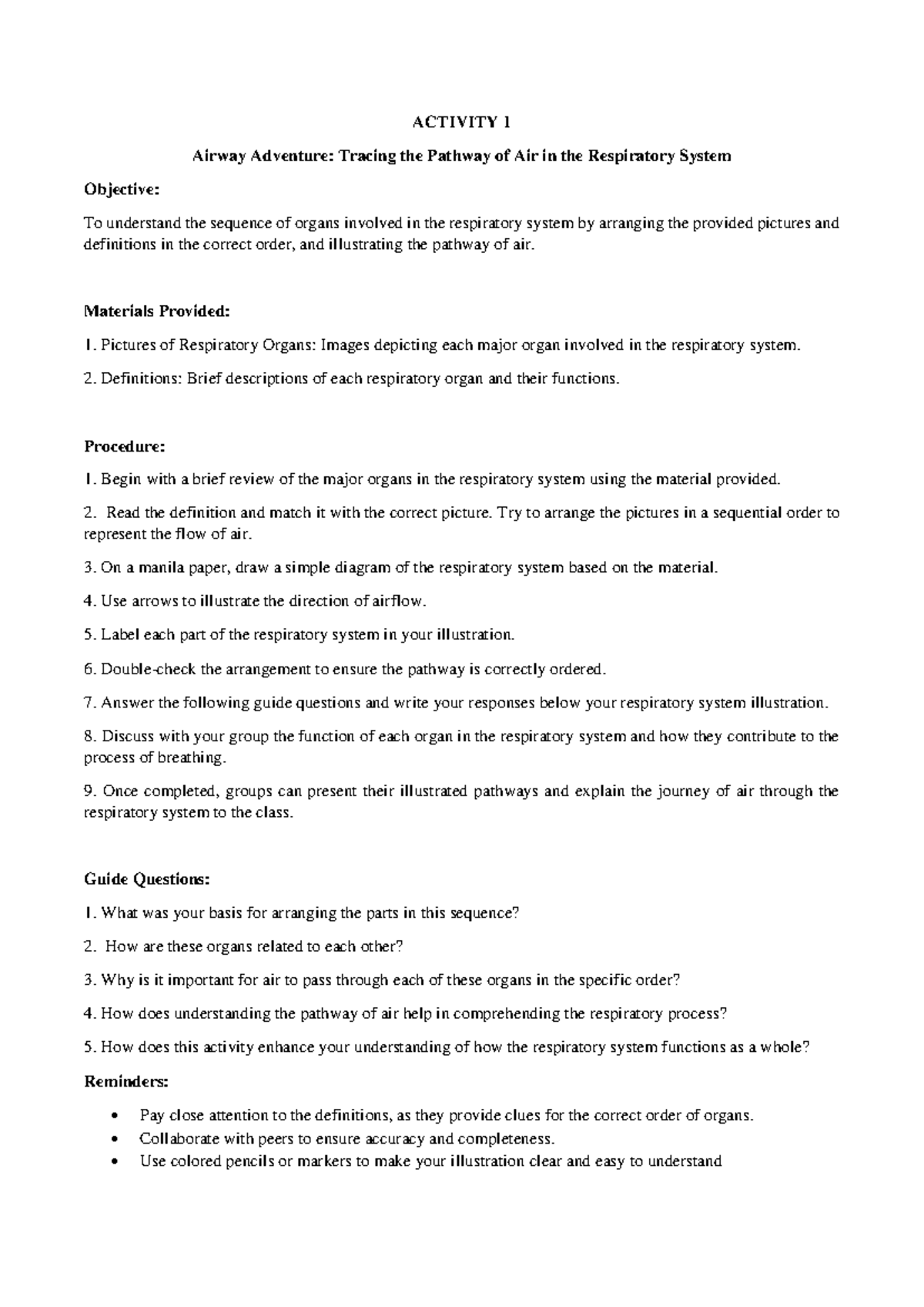 Airway Adventure - Tracing the Pathway of Air in the Respiratory System ...
