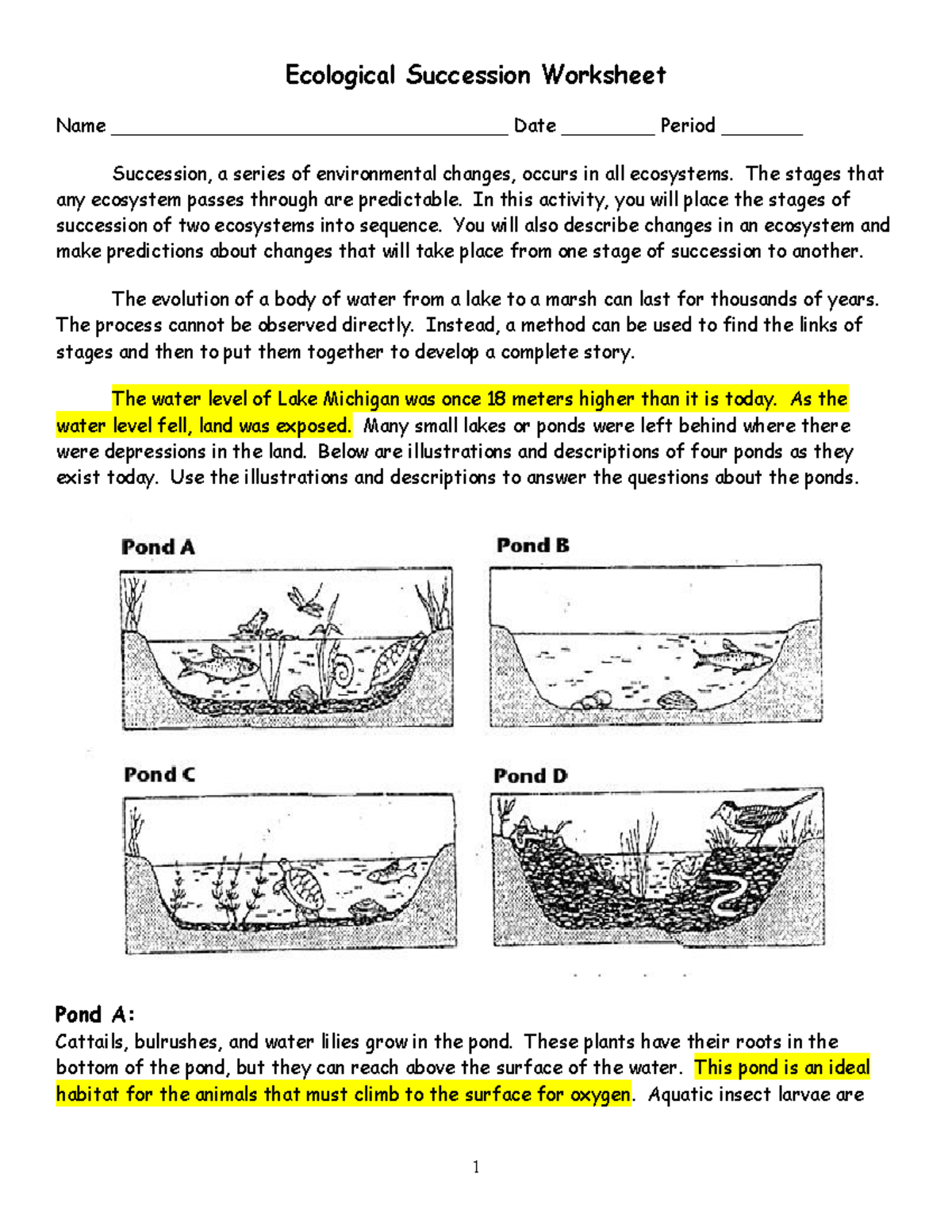 POND Ecological Succession Worksheet KEY xdwe8h - Ecological Succession ...