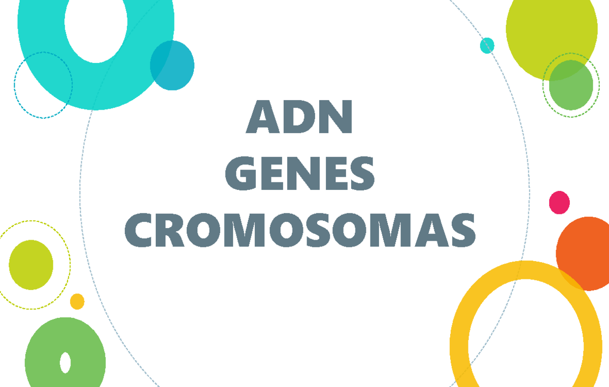 Cromosomas y ADN - ADN GENES CROMOSOMAS GENES - Unidad de herencia ...