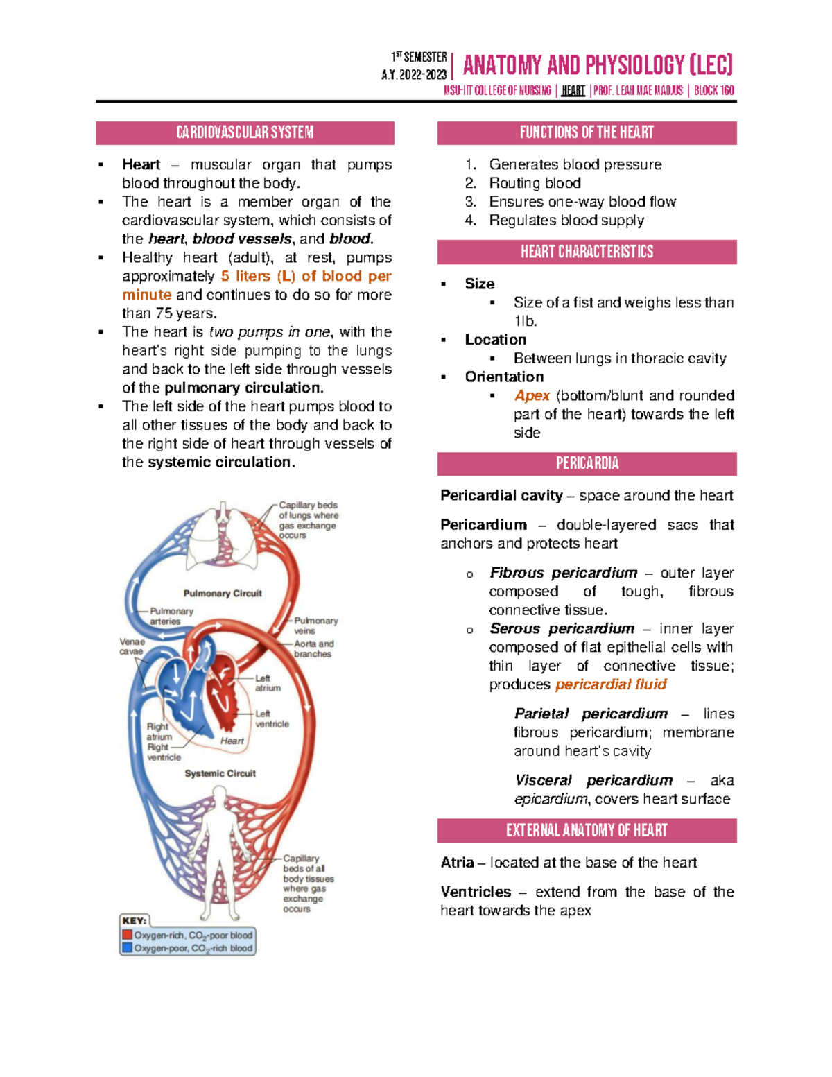 12 - Heart - | ANATOMY AND PHYSIOLOGY (LEC) MSU-IIT COLLEGE OF NURSING ...