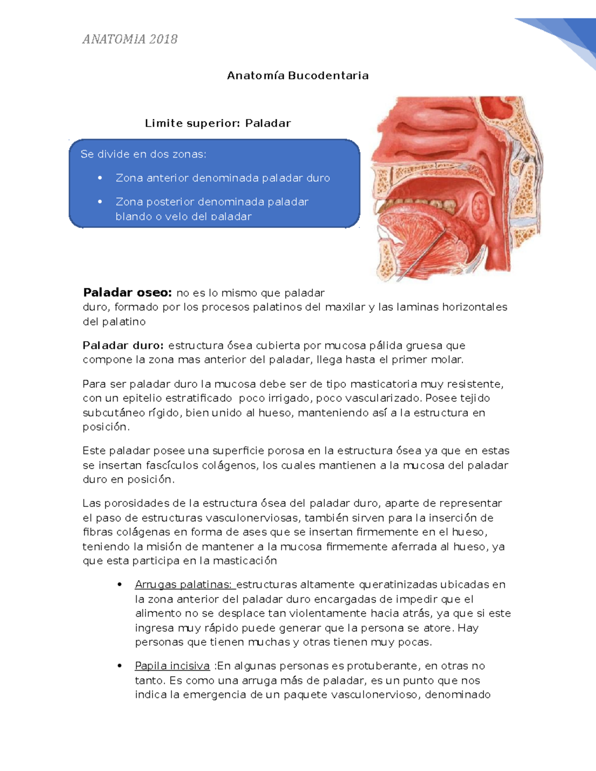 Anatomia del paladar y lengua clase 2 - Se divide en dos zonas: Zona ...