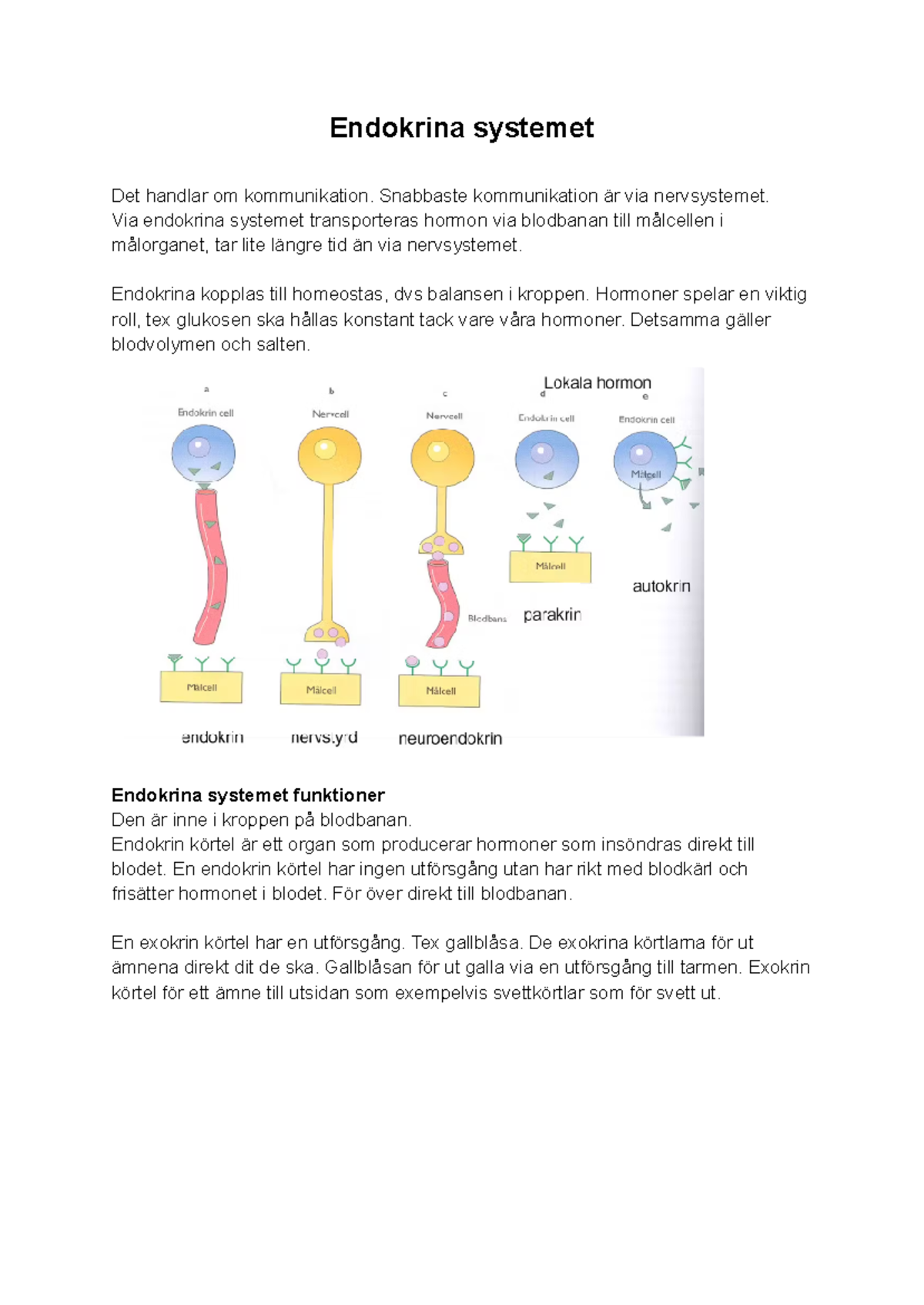 Endokrina systemet - Föreläsning A2 - Endokrina systemet Det handlar om ...