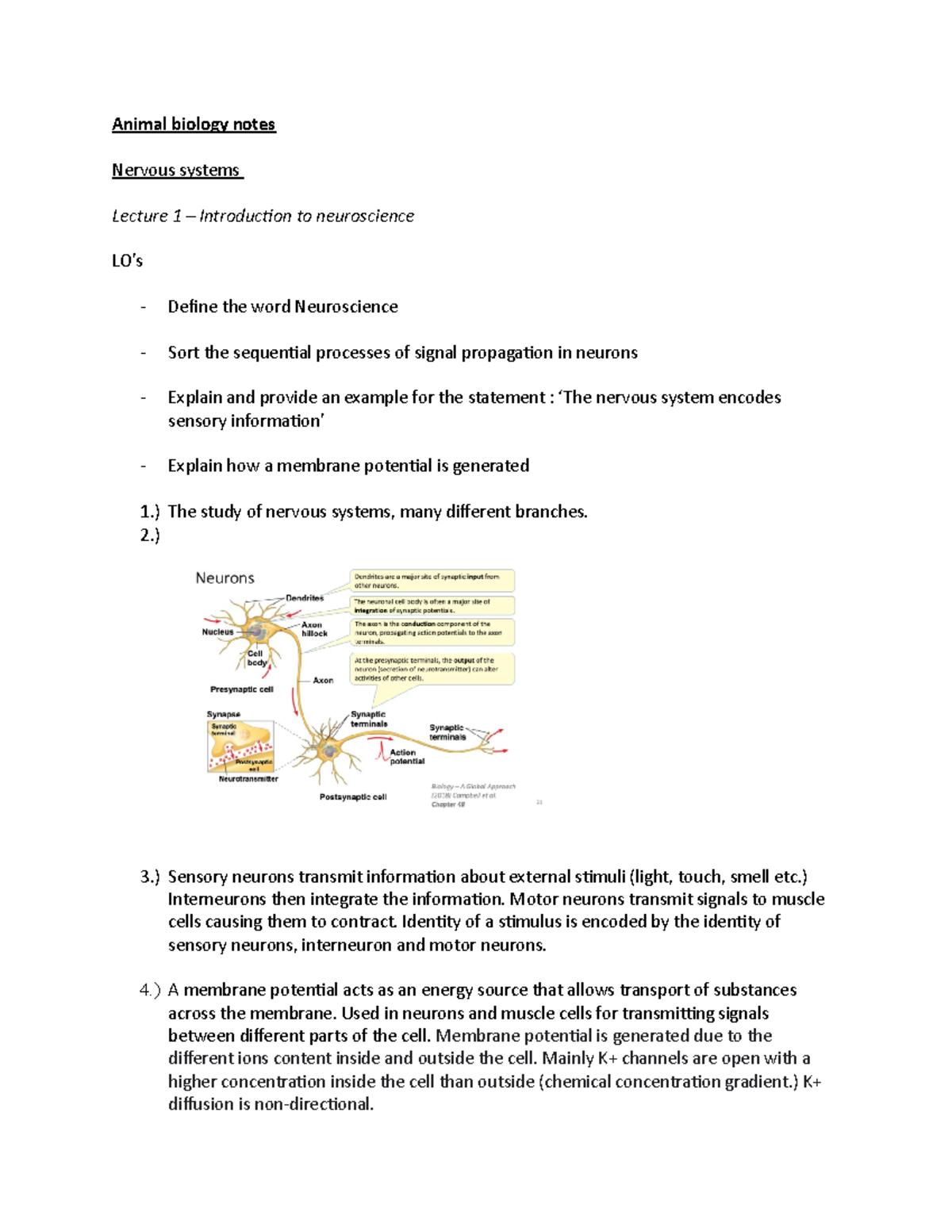 Animal biology notes - Animal biology notes Nervous systems Lecture 1 ...