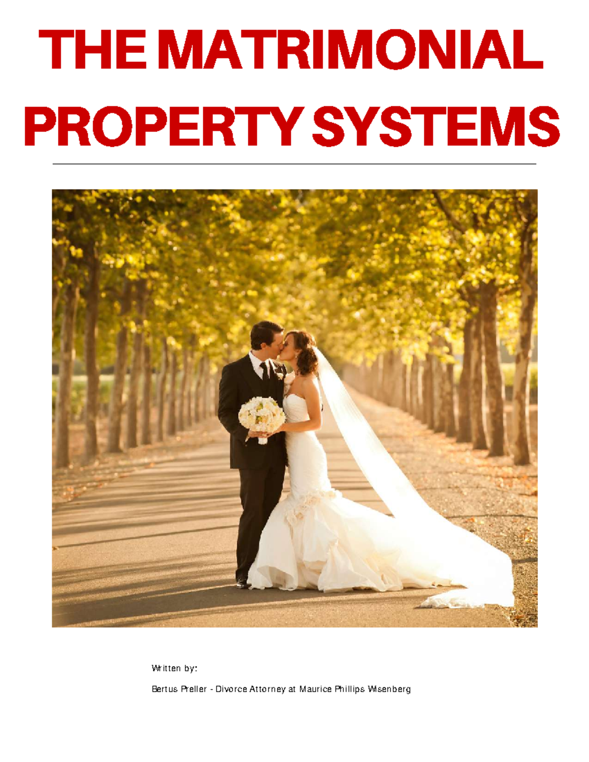 Matrimonial property regimes south africa compressed - THE MATRIMONIAL ...