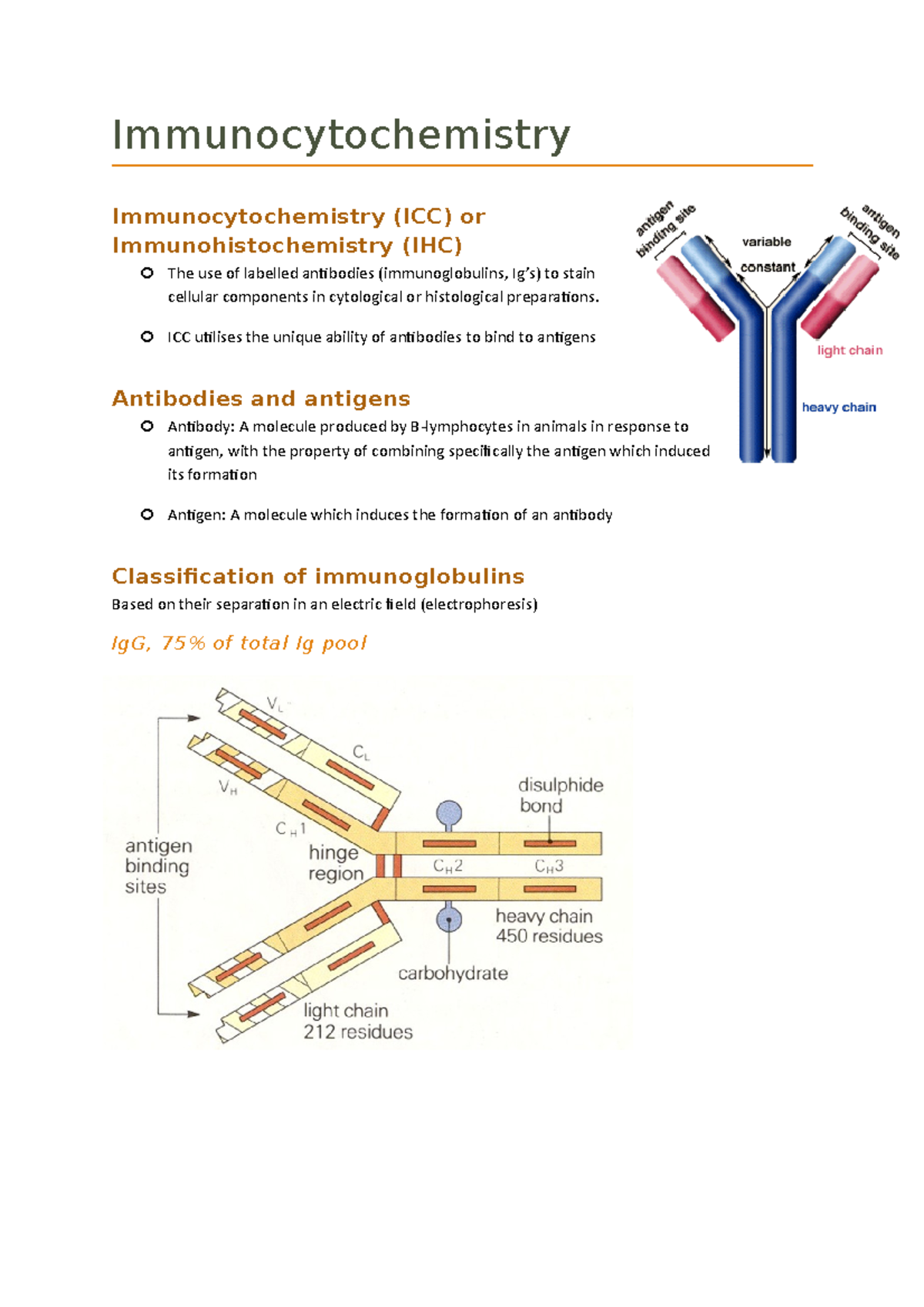 Immunocytochemistry Notes - UWE - Studocu
