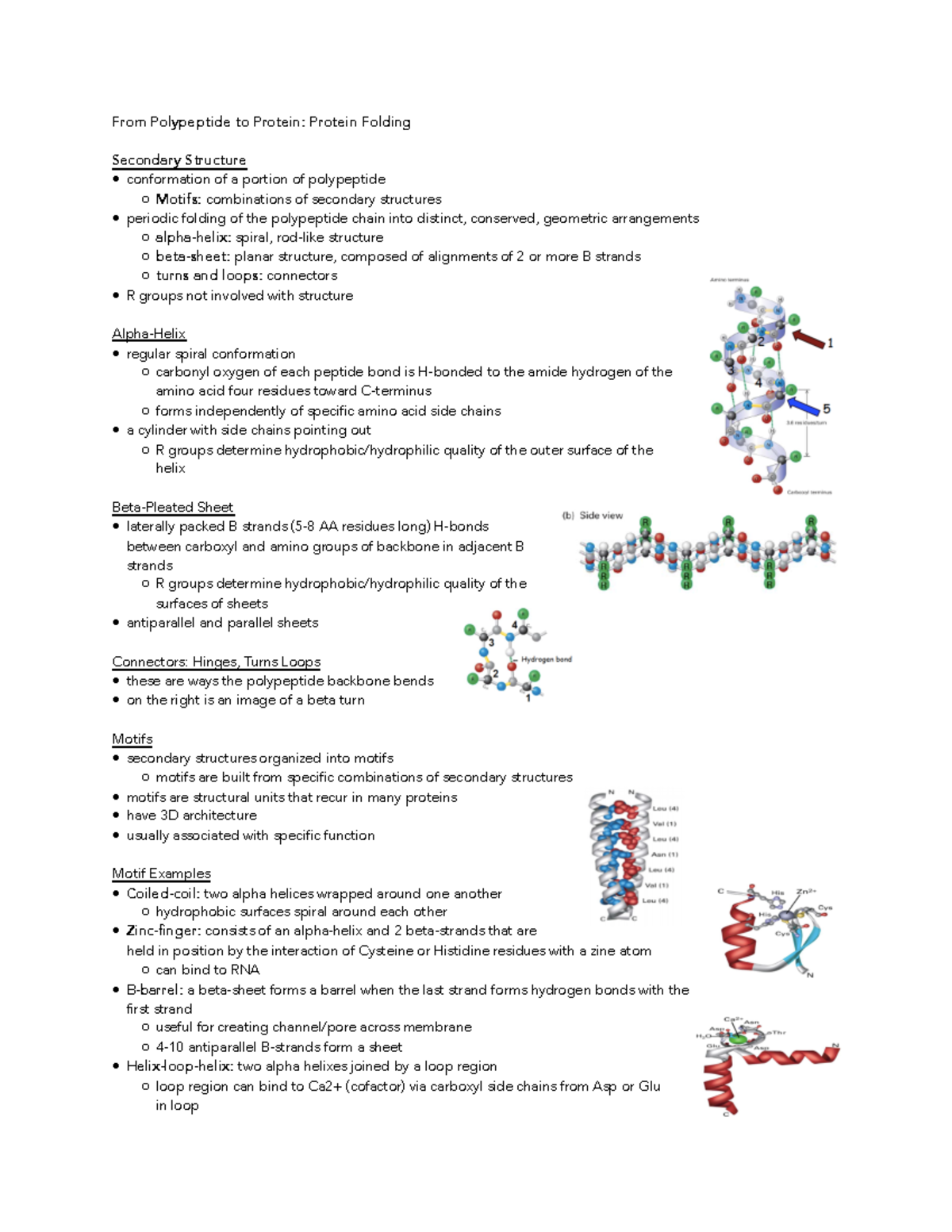 Module 1 Lecture 2 - From Polypeptide to Protein: Protein Folding ...