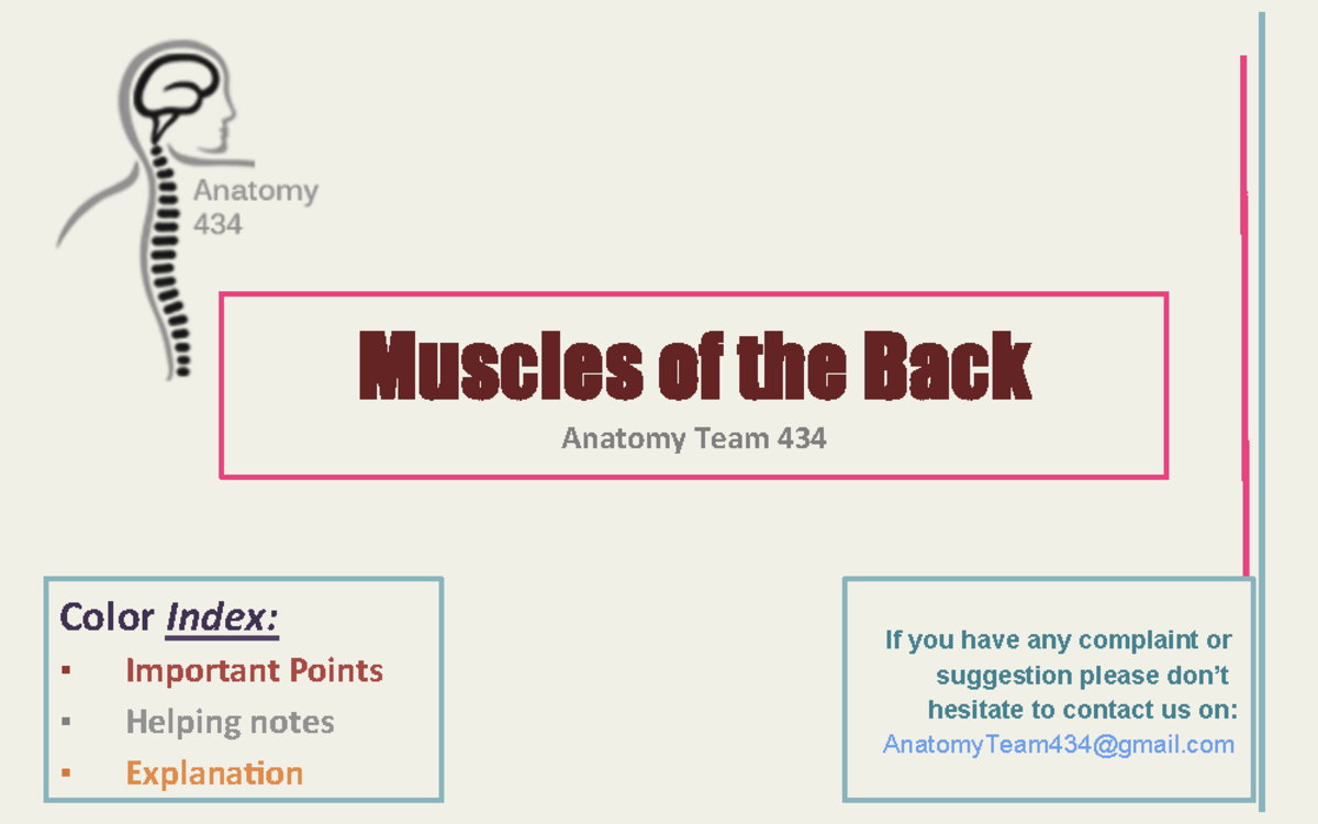 5.Muscles of the Back - Compare between groups of back muscles as ...