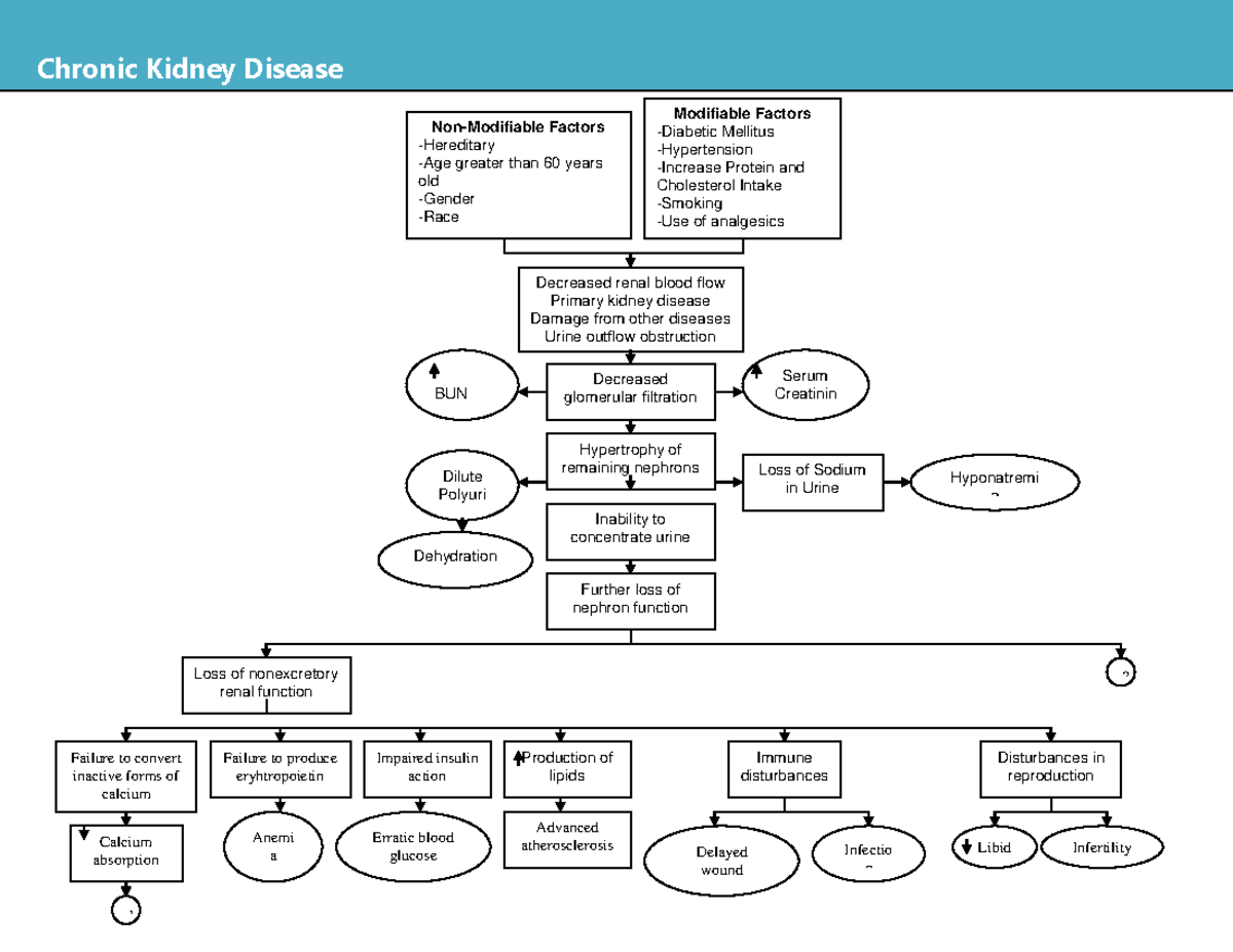 Pathophysiology of Renal failure - A. PATHOPHYSIOLOGY a. Schematic ...