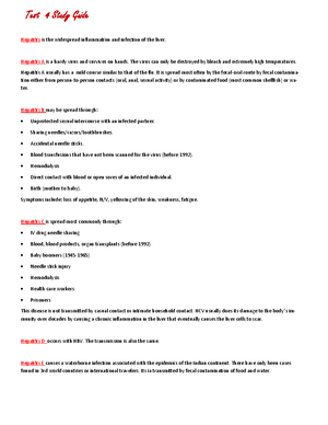 Endocrine Illustrated Study Packet - The Endocrine System The human ...
