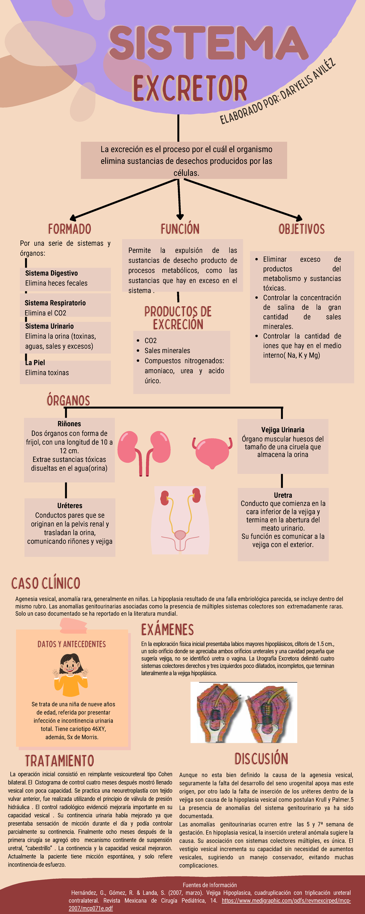 Parcial Sistema Excretor y Digestivo - La excreción es el proceso por ...