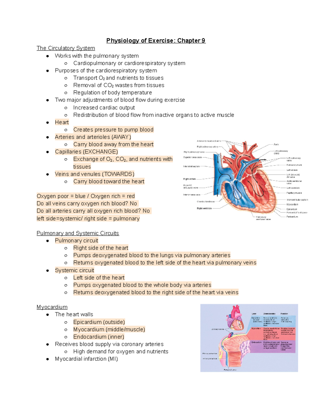 Ch 9 Ex Phys - Chapter 9 Notes - Physiology of Exercise: Chapter 9 The ...
