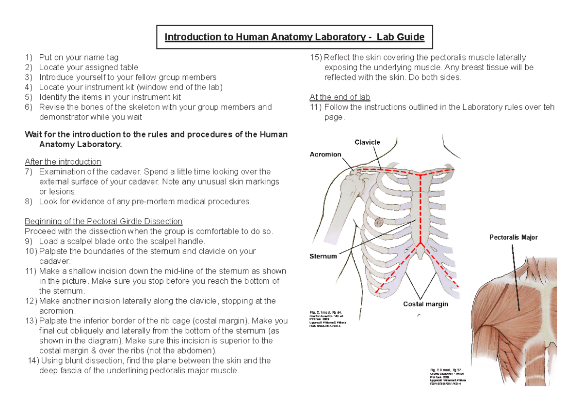 01 Intro to the HAL Pec Gir Lab Guide 2020 - 1) Put on your name tag 2 ...