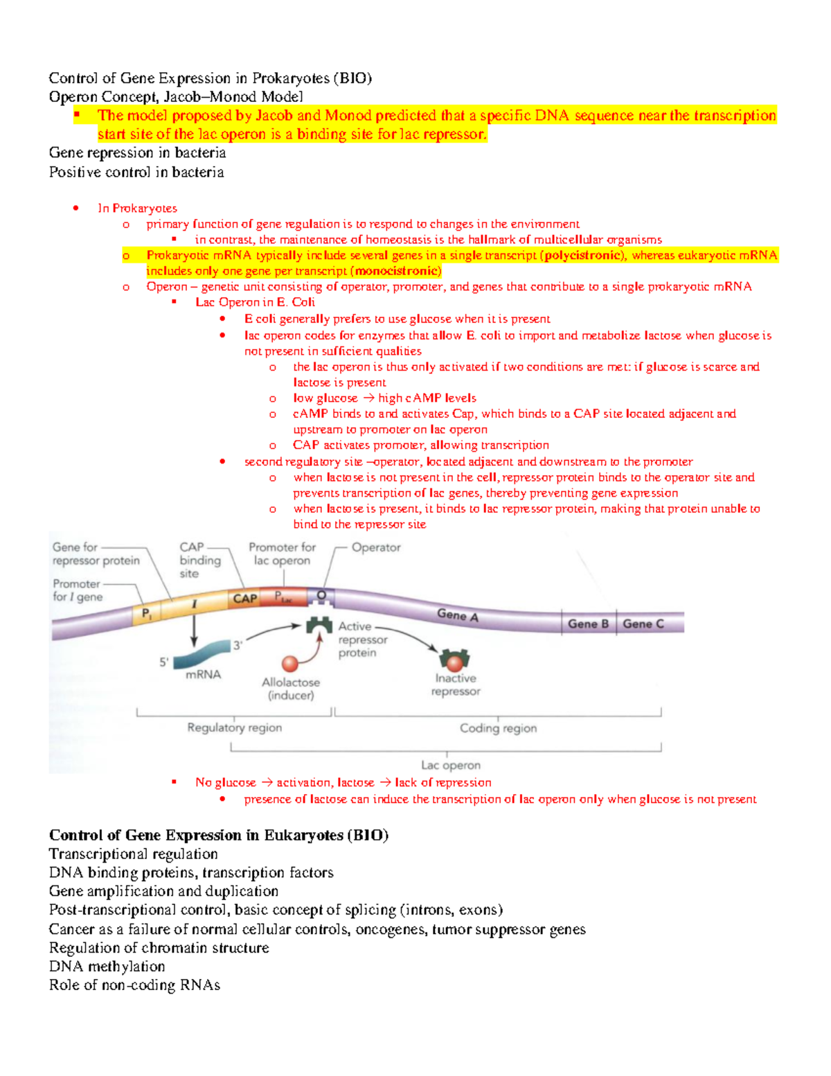 Lecture notes detailed content 12-12 - Control of Gene Expression in ...