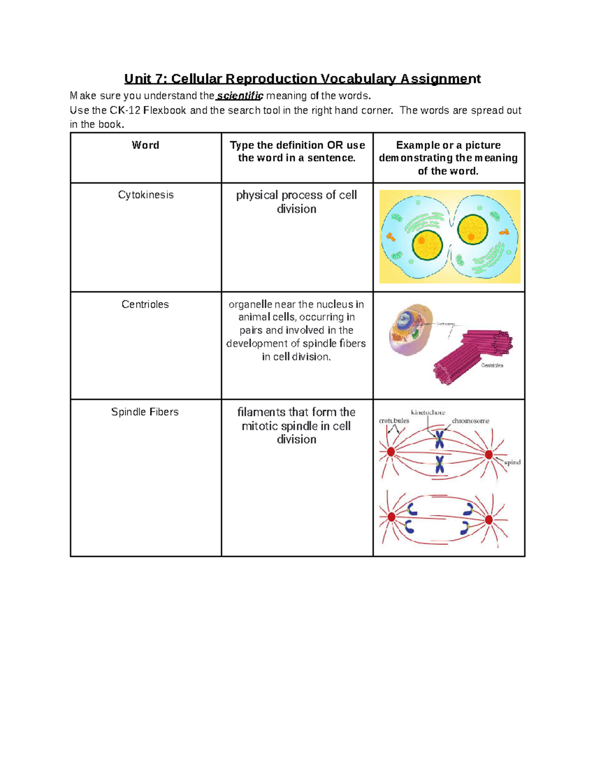 Unit 7 Cellular Reproduction Vocabulary-Tassnim- Google Docs - Unit 7 ...