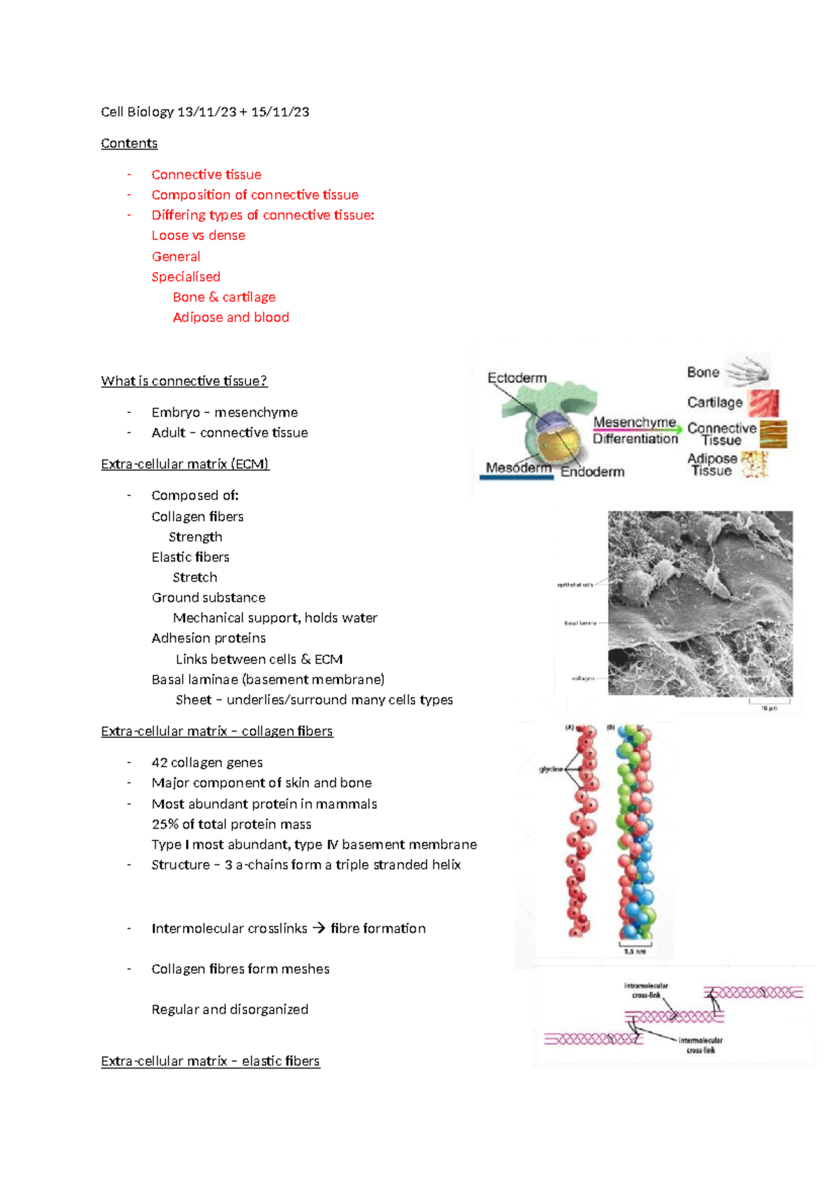 Cell Biology 131123 + 151123 - Cell Biology 13/11/23 + 15/11/ Contents ...