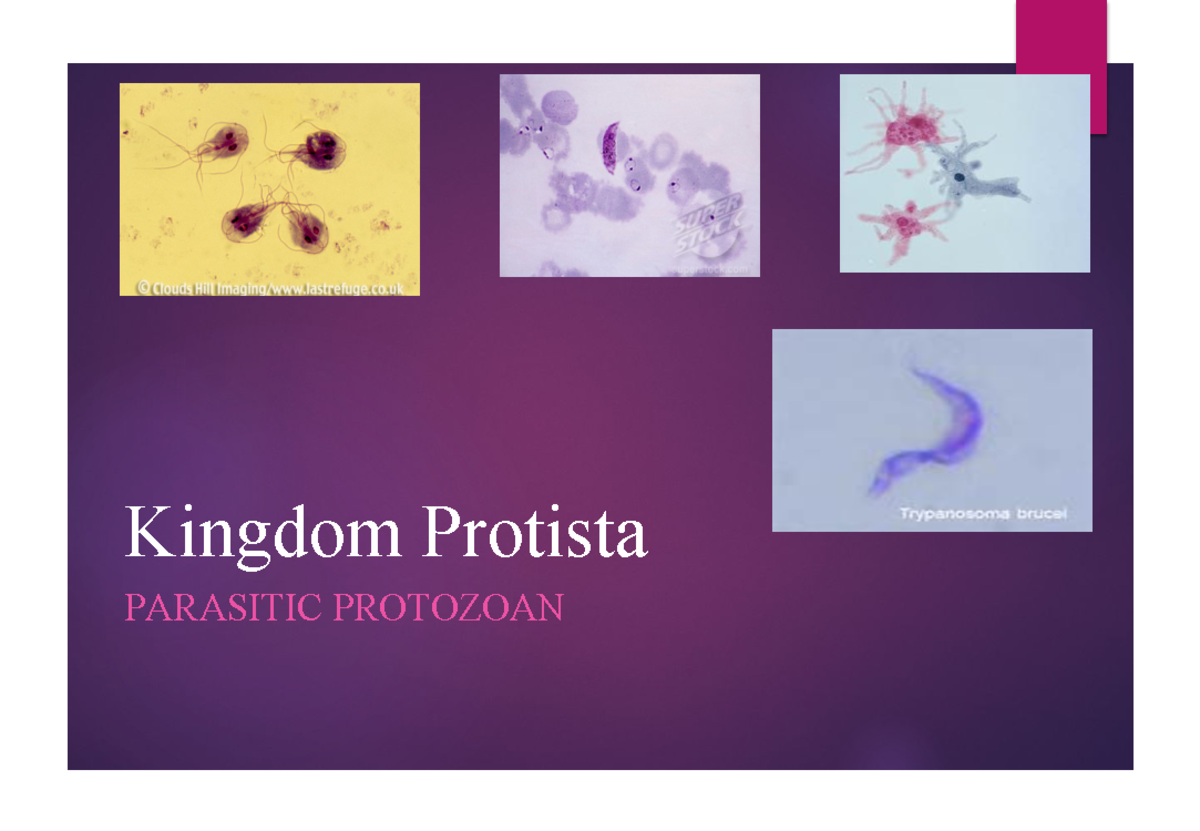 PARA 2 - PARASITIC PROTOZOAN - Kingdom Protista PARASITIC PROTOZOAN ...