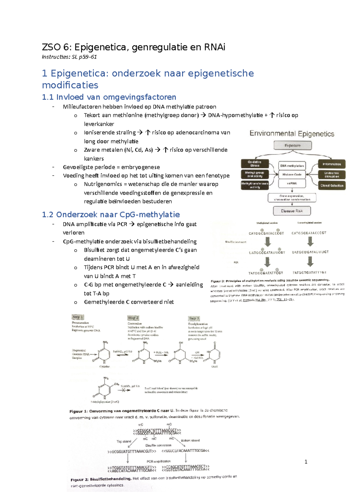 ZSO 6 Epigenetica, genregulatie en RNAi - Sommige proteïnecomplexen van ...