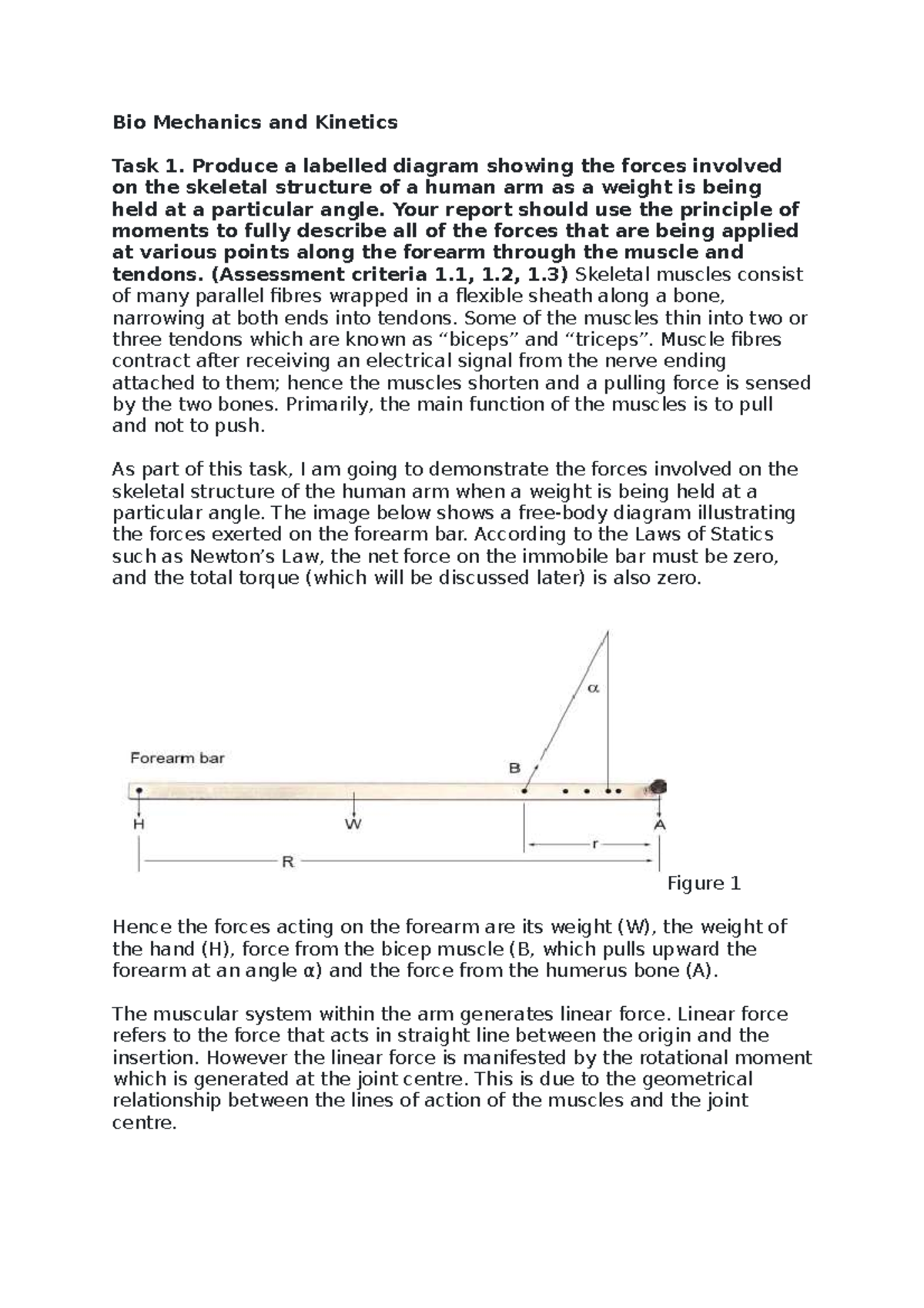 Forces of skeleton on the arm - Bio Mechanics and Kinetics Task 1 ...