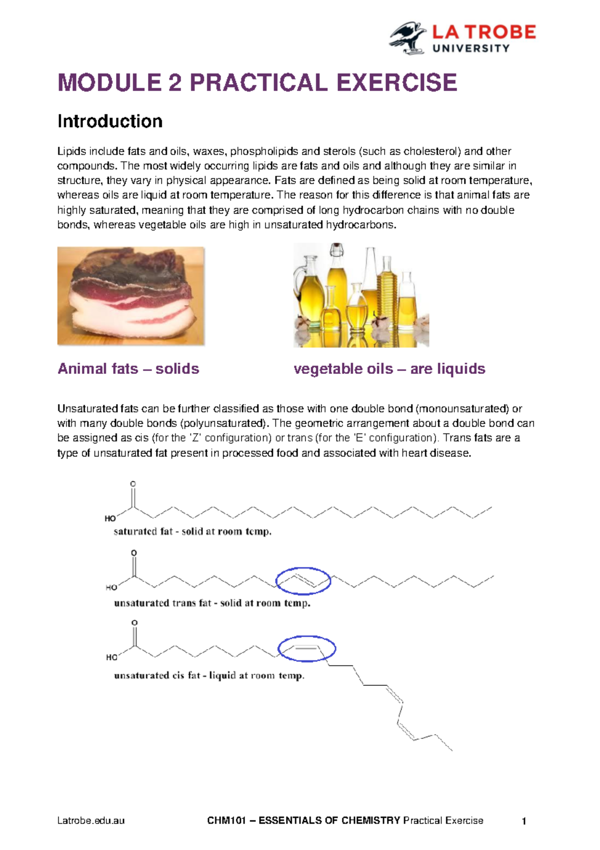 Module 2 Practical 2020-4 - MODULE 2 PRACTICAL EXERCISE Introduction Lipids include fats and ...