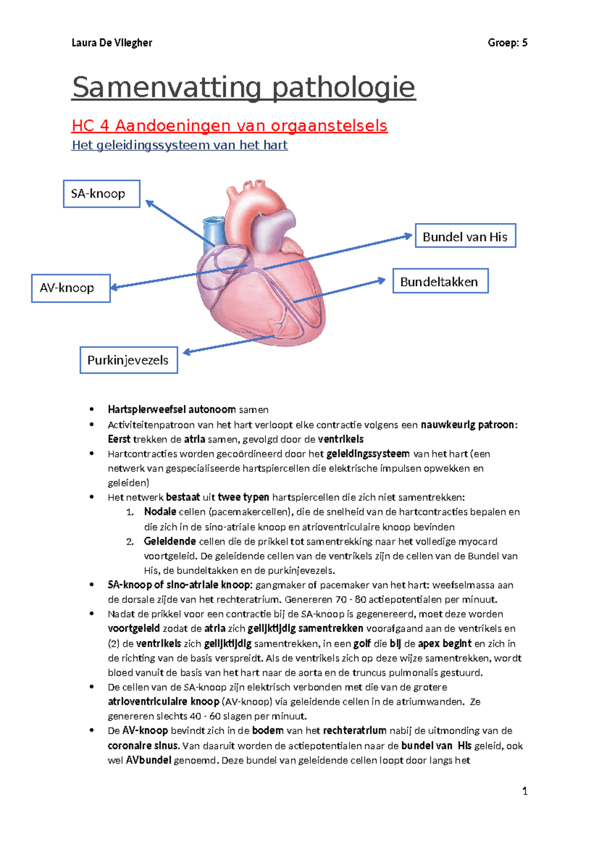 Samenvatting pathologie - Nodale cellen (pacemakercellen), die de snelheid van de ...