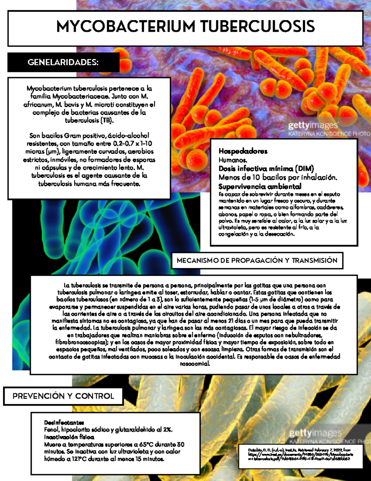 Infografía de la bacteria Mycobacterium tuberculosis - GENELARIDADES ...