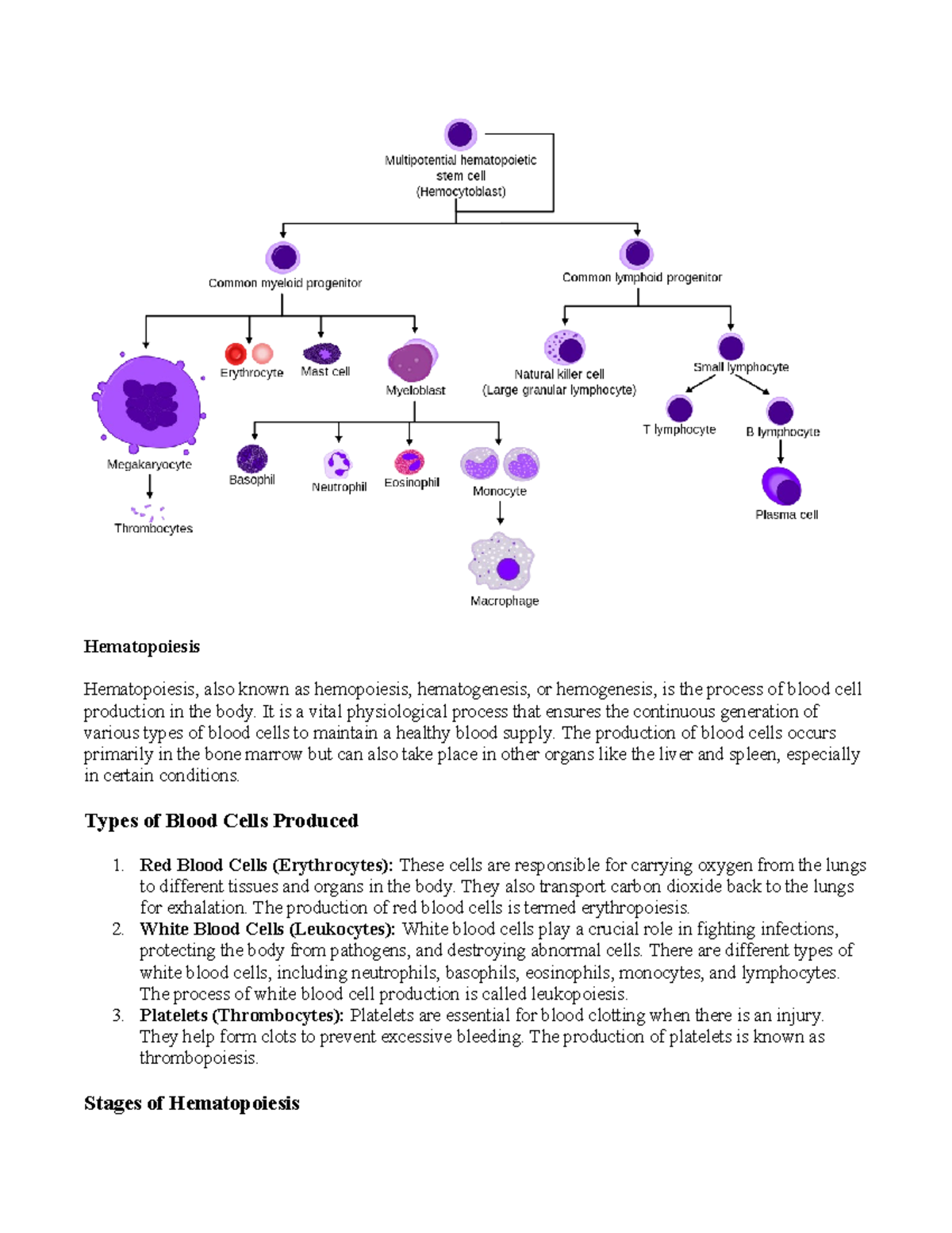 Lesson 3 - read - Hematopoiesis Hematopoiesis, also known as ...