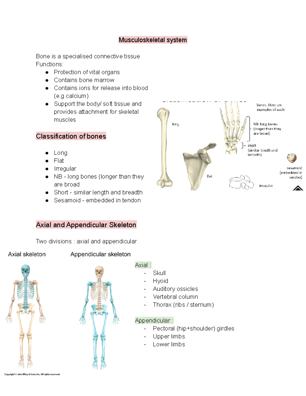 Musculoskeletal system - Musculoskeletal system Bone is a specialised ...