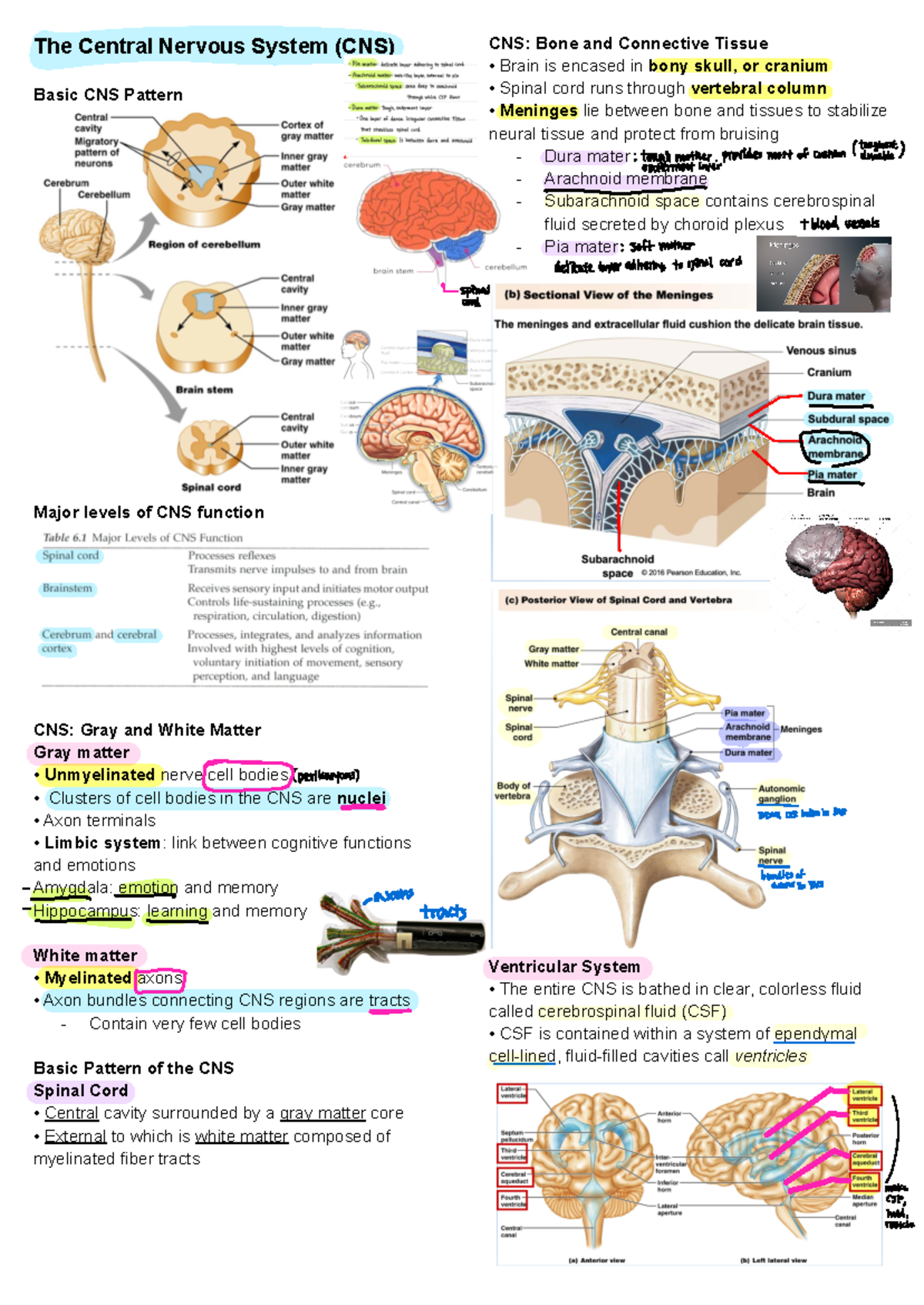 Patho Note 6 Lecture Notes Deprecated Api Usage The Svg Back End Is No Longer Maintained