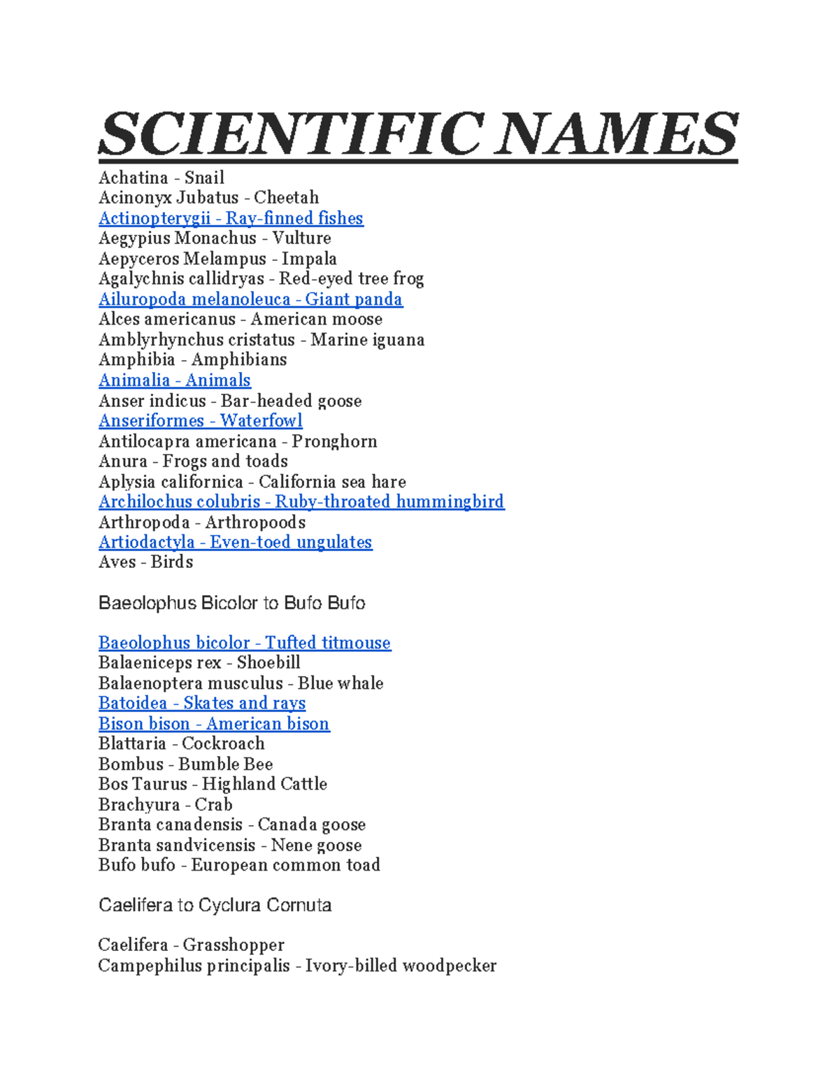 Scientific Names - cool - SCIENTIFIC NAMES Achatina - Snail Acinonyx ...