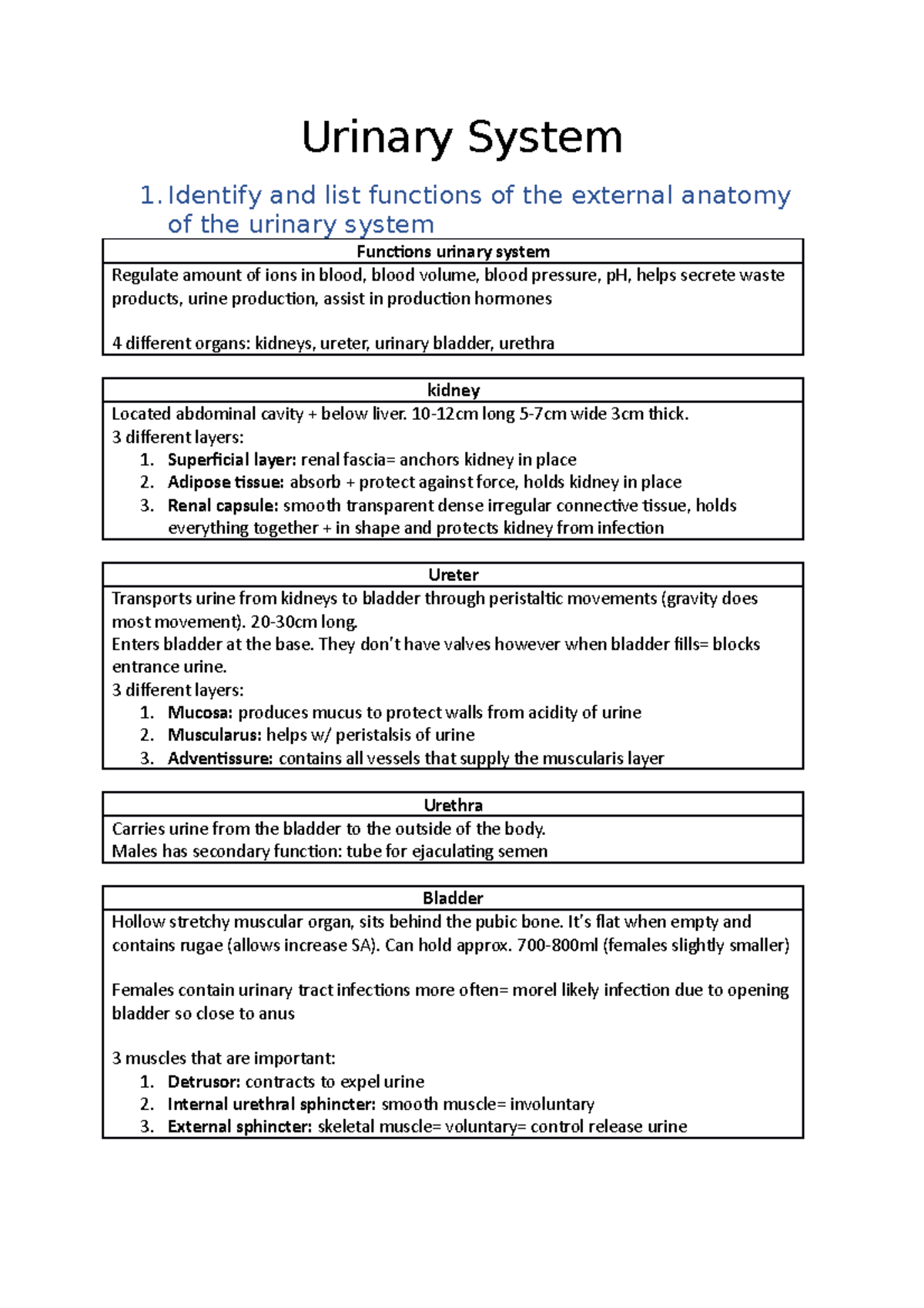 Urinary System notes - Julie Cook, Disa Smee, Ben Ratray, Joe Northy ...