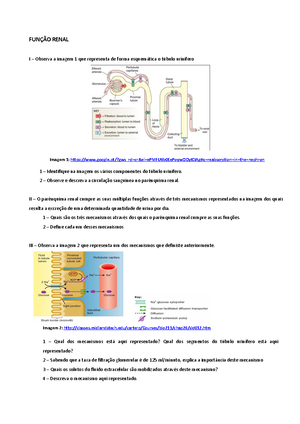 Tablas hormonas - Resumo Anatomo-Histofisiologia II - Studocu