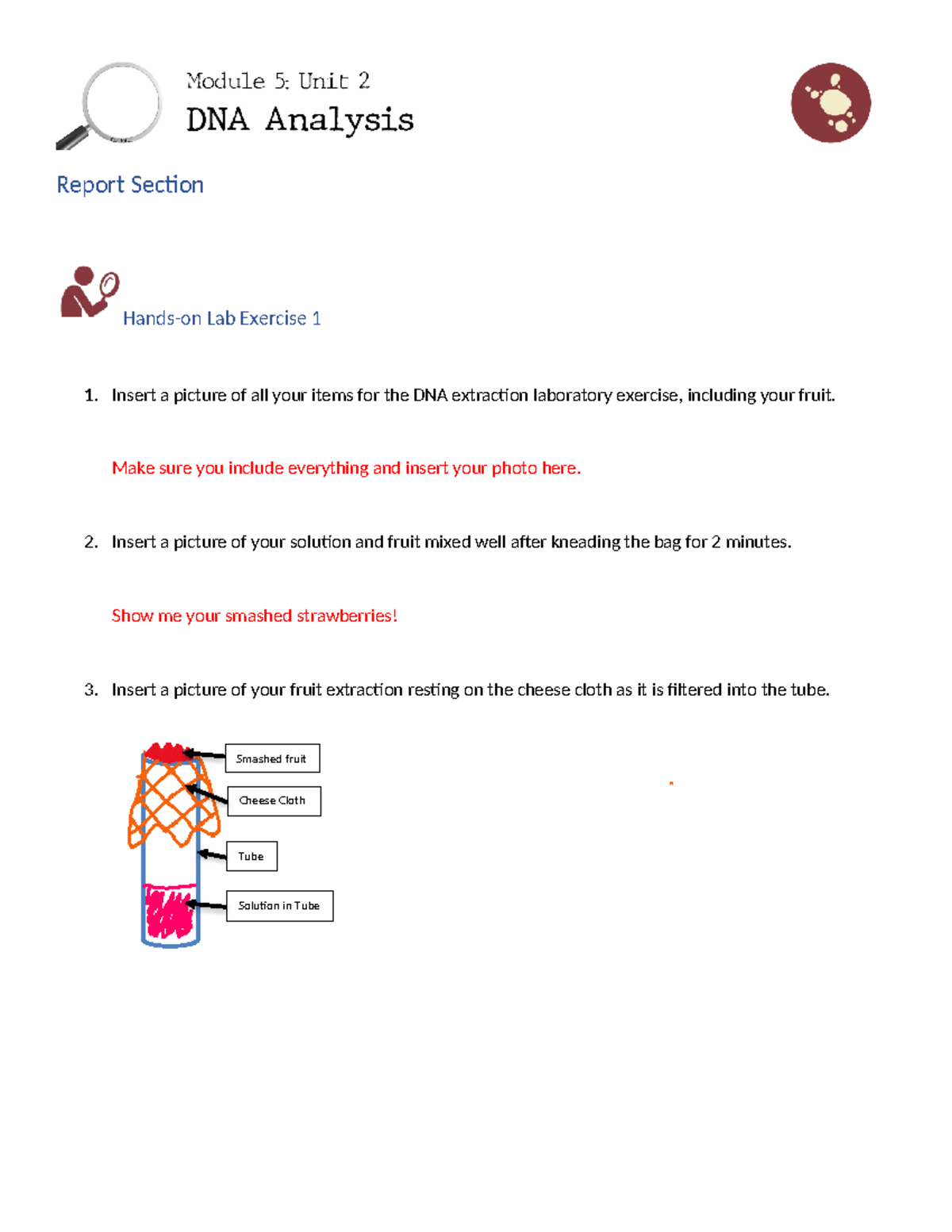 DNA Laboratory Worksheet-2 - Report Section Hands-on Lab Exercise 1 1 ...