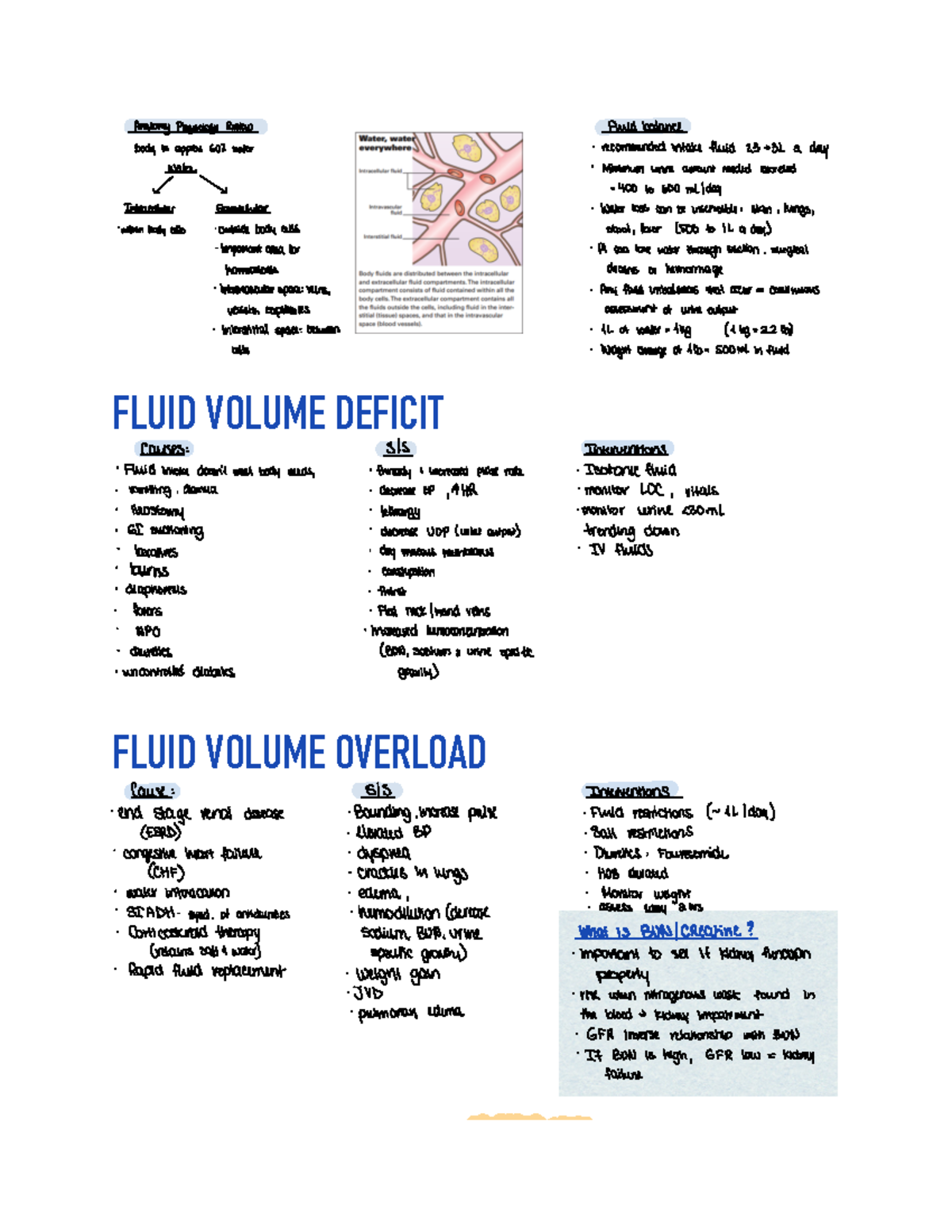 U2 F&E, Acid Base 📖 - Exam 1 summary - FLUID VOLUME DEFICIT FLUID VOLUME OVERLOAD ...