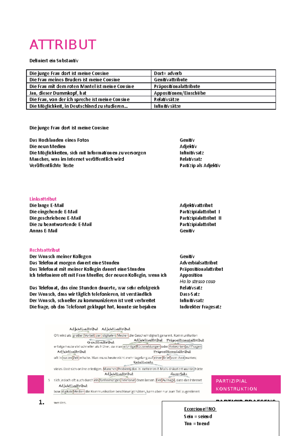 3. Attribute - regole - ATTRIBUT Definiert ein Substantiv Die junge ...