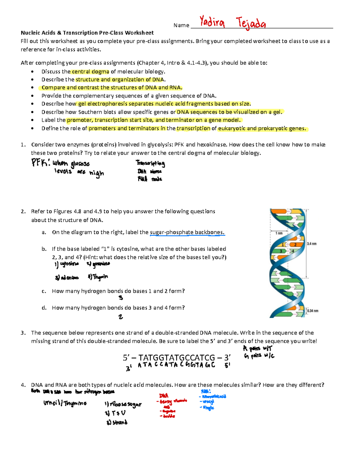 Week 5 A pre class work - Name ...