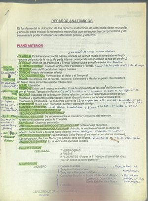 Kinesiology notes 2 - Biomechanics has a long history of kinematic ...