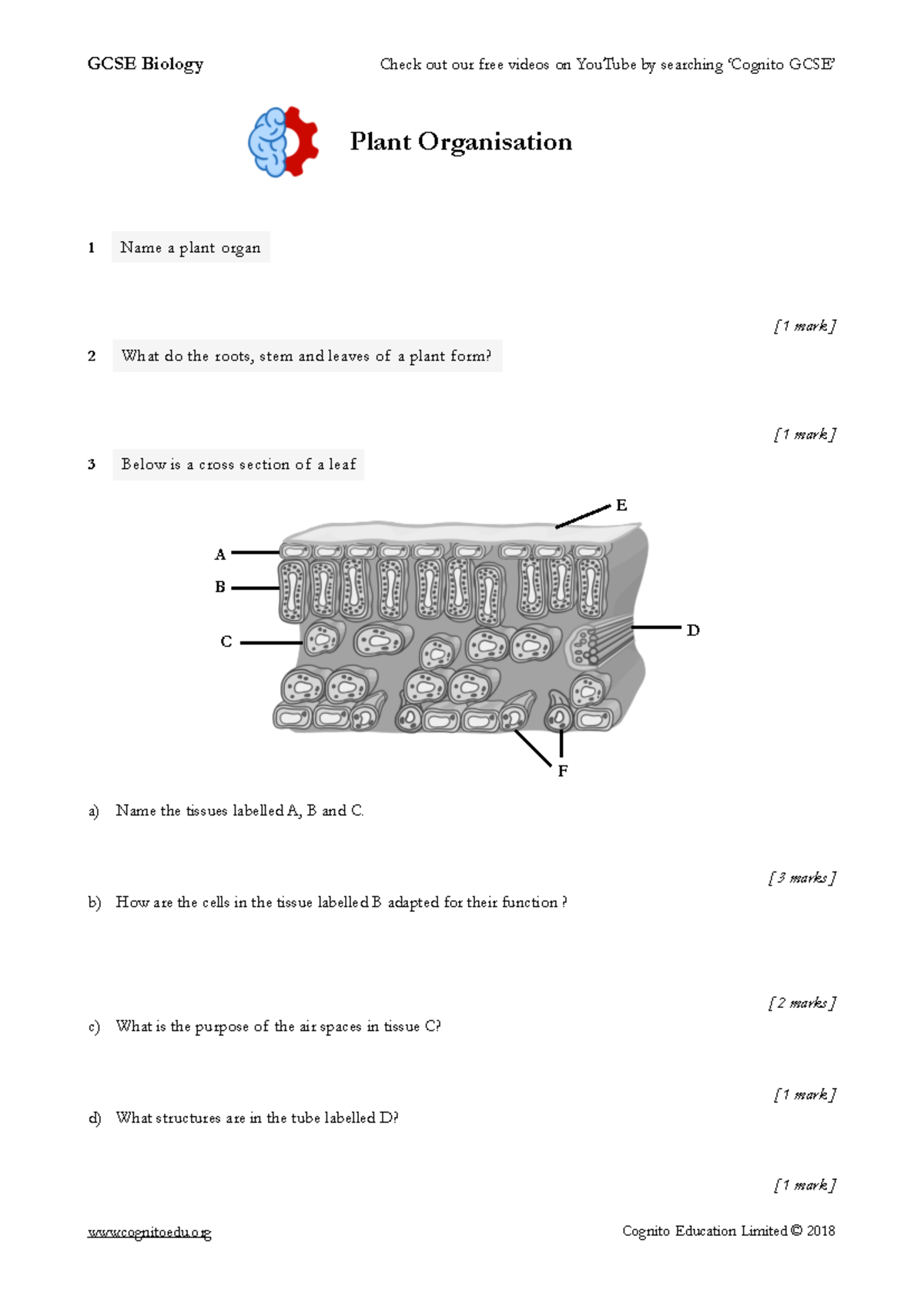 Plant Structure & Function - Homework - GCSE Biology Check out our free ...