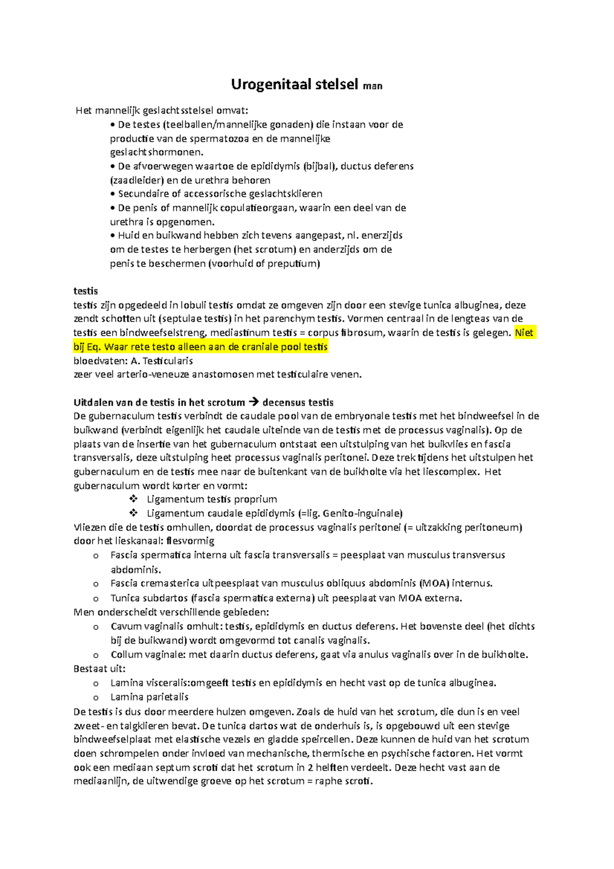 Urogenitaal stelsel man - De afvoerwegen waartoe de epididymis (bijbal ...