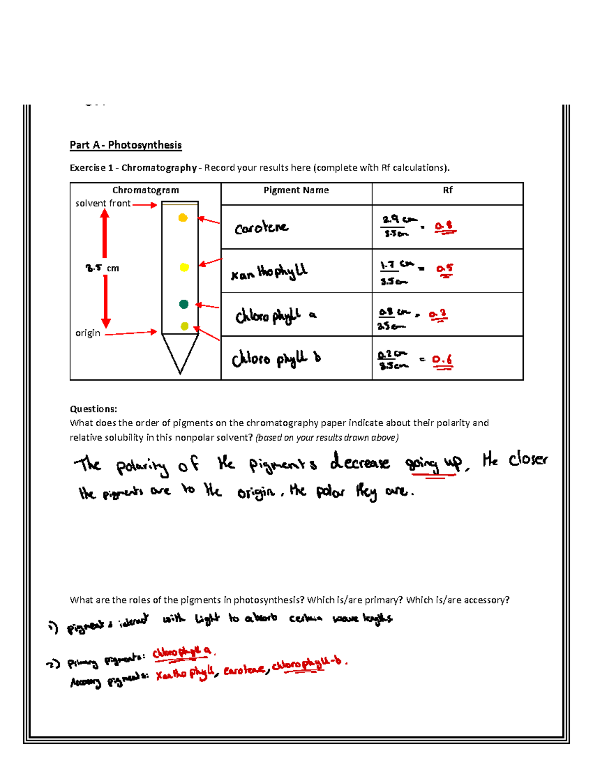 Lab 7 - photosynthesis - lab 7 - Part A - Photosynthesis Exercise 1 ...