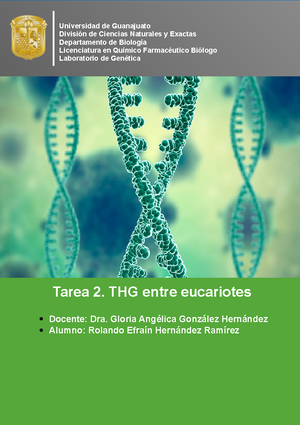 Fotoautótrofos - Apuntes 4 - FOTOAUTÓTROFOS Los organismos ...