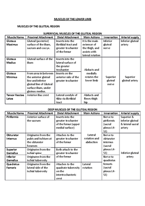 Functional Anatomy - Upper Limb Worksheet 3 - Bones comprising the ...