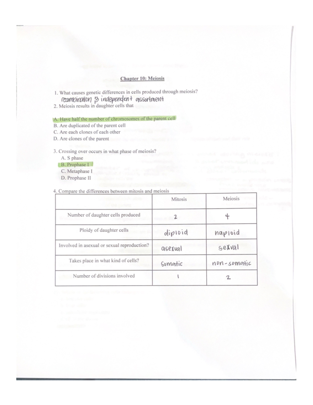 Chapter 10 Meiosis - Homework, very important - BSC 2010 - Studocu