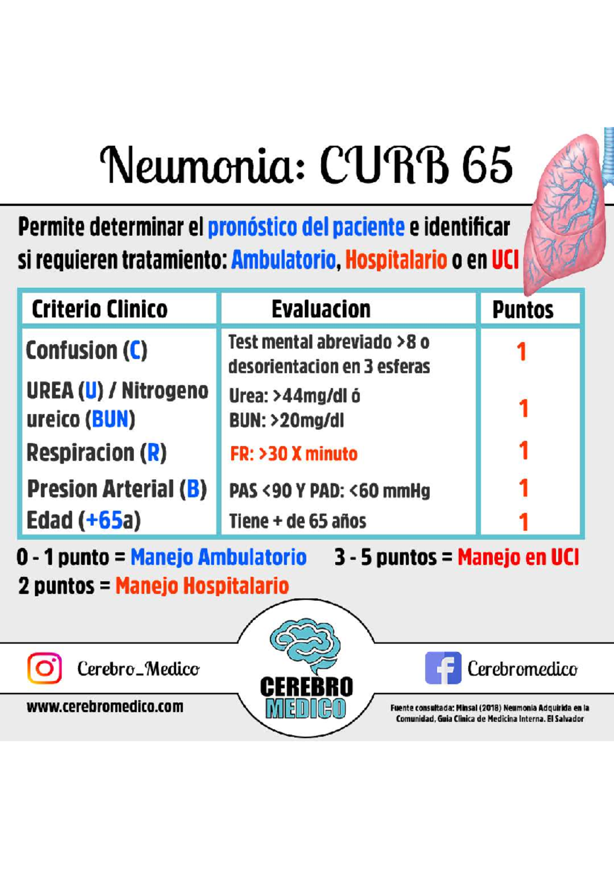 CURB 65 NEUMONIA - Neumonia: CURB 65 Permite determinar el pronóstico ...