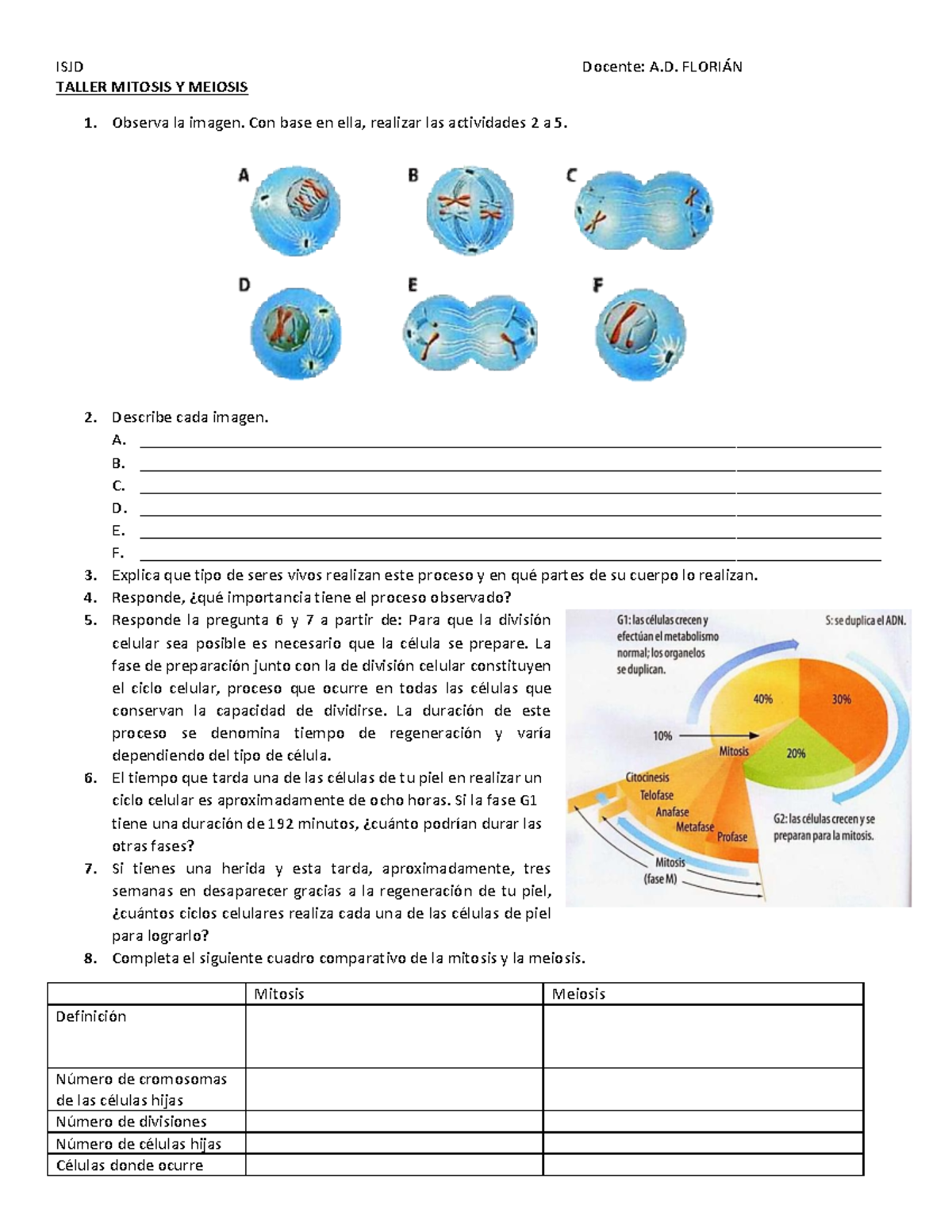 431049808 Mitosis y Meiosis Crucigrama - TALLER MITOSIS Y MEIOSIS Observa la imagen. Con base en ...