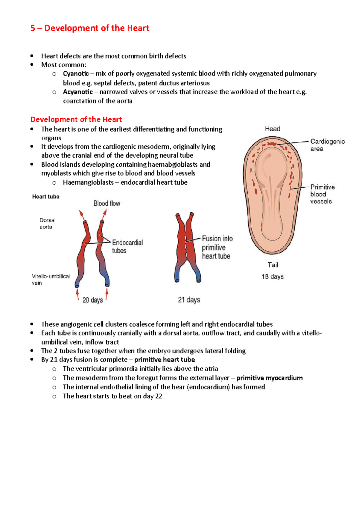 Development of the Heart - 5 – Development of the Heart Heart defects ...