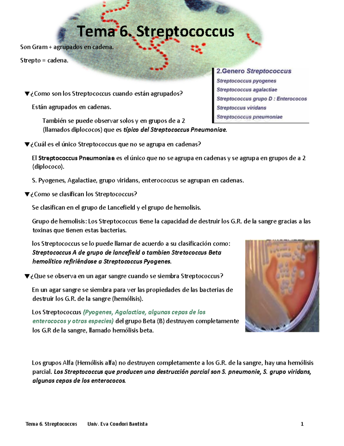 Tema 6 - apuntes para estudiantes de medicina - Tema 6. Streptococcus ...