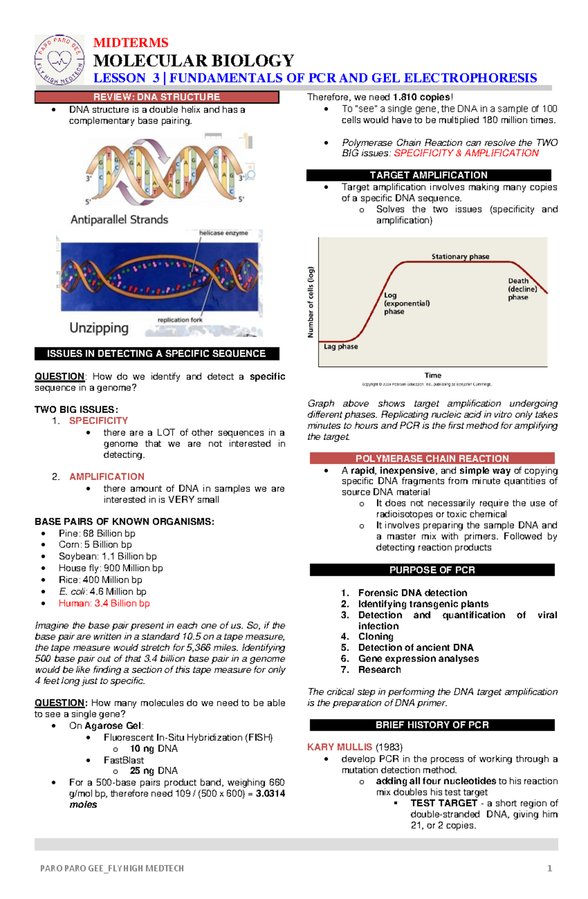 Lesson 3 Fundamentals OF PCR AND GEL Electrophoresis - MOLECULAR ...